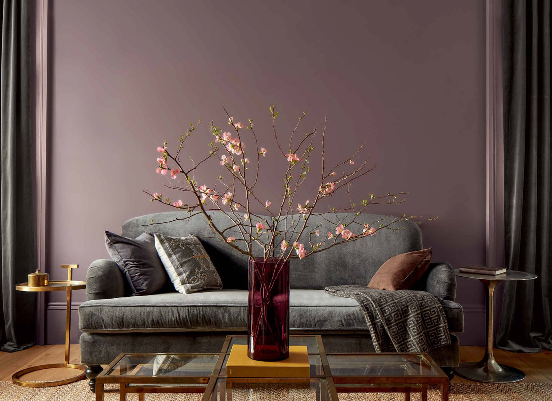 Paint Store in Ireland – Albany